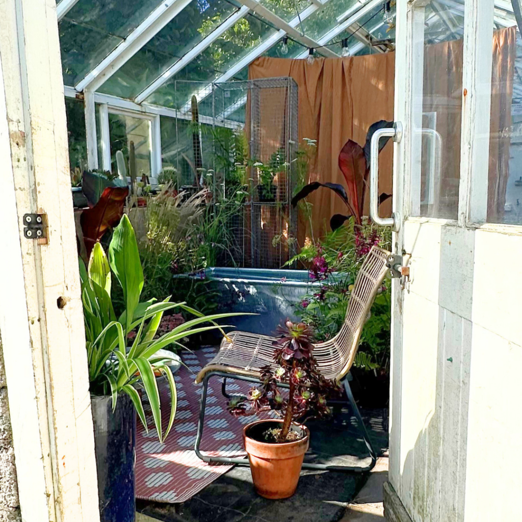 Sarah Jarman @ HTC Greenhouse, KGVMW | Hayle Town Council